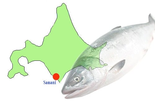 北海道産トキシラズフィレ 漁場通販のさかなだマート